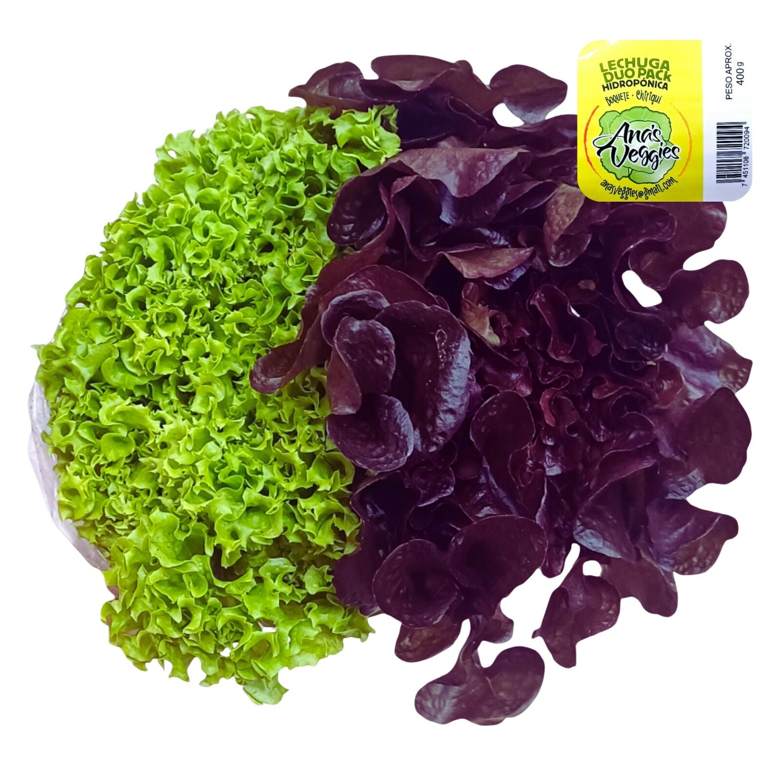 LECHUGA MIXTA DUO PACK CRESPITA - ROBLE 450 GR ROMA UN– Super Barú Online